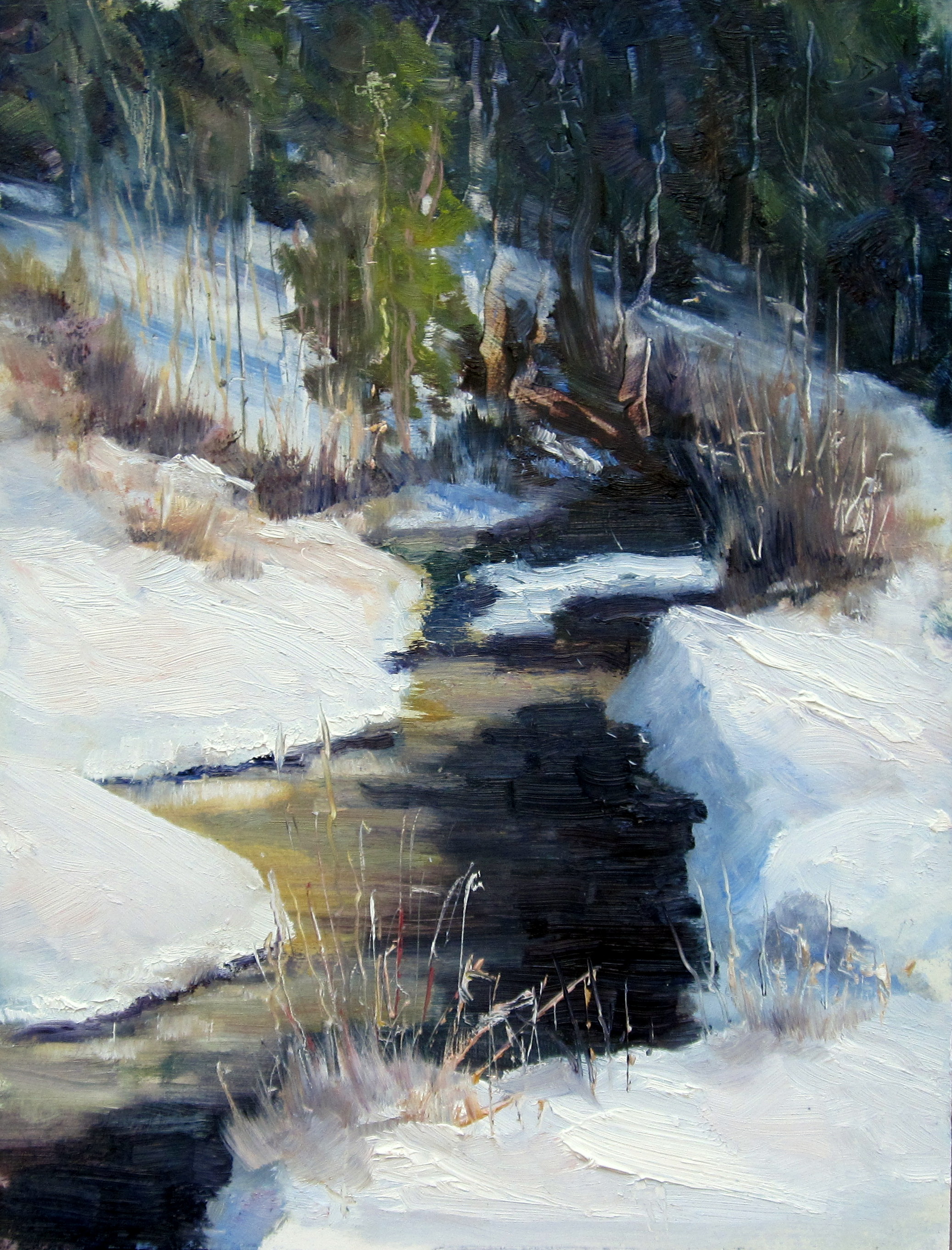 Steve Davis | Michigan Plein Air Painters
